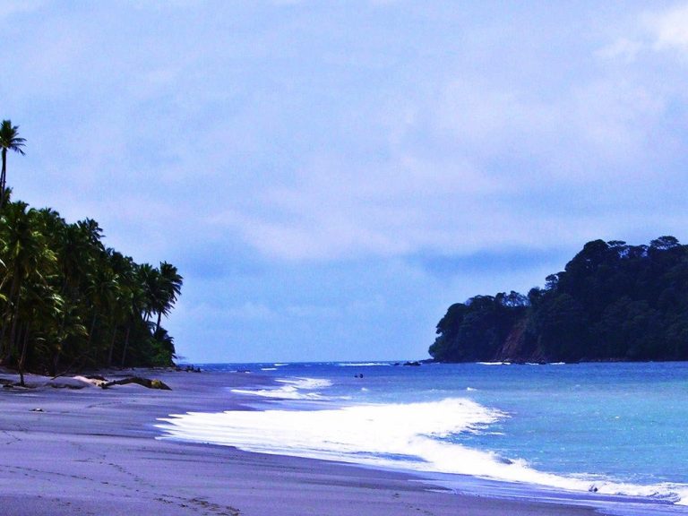 Balsadas en el río Guapi: participa de este evento místico en el Cauca