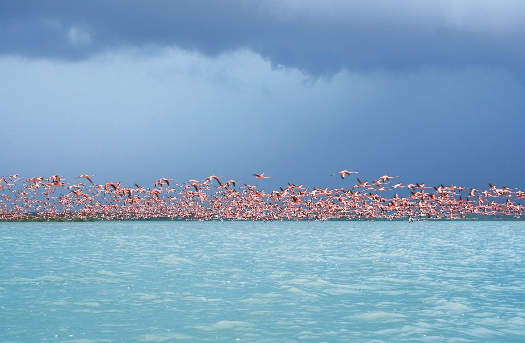 Playa de Camarones: relájate en este remanso de la Guajira